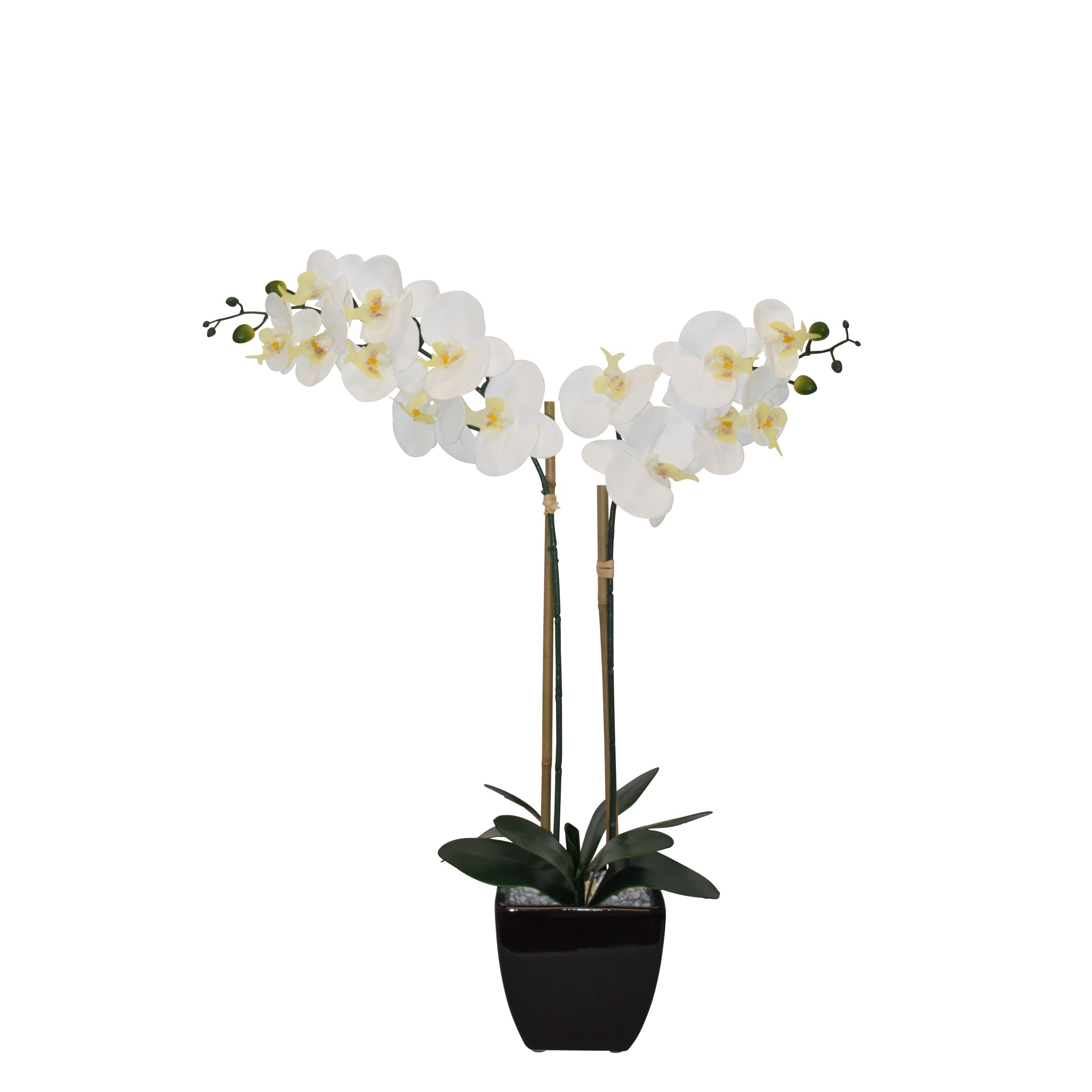 Natural Touchᵀᴹ Tabletop Artificial Orchid – Nature's Elements Floral ...